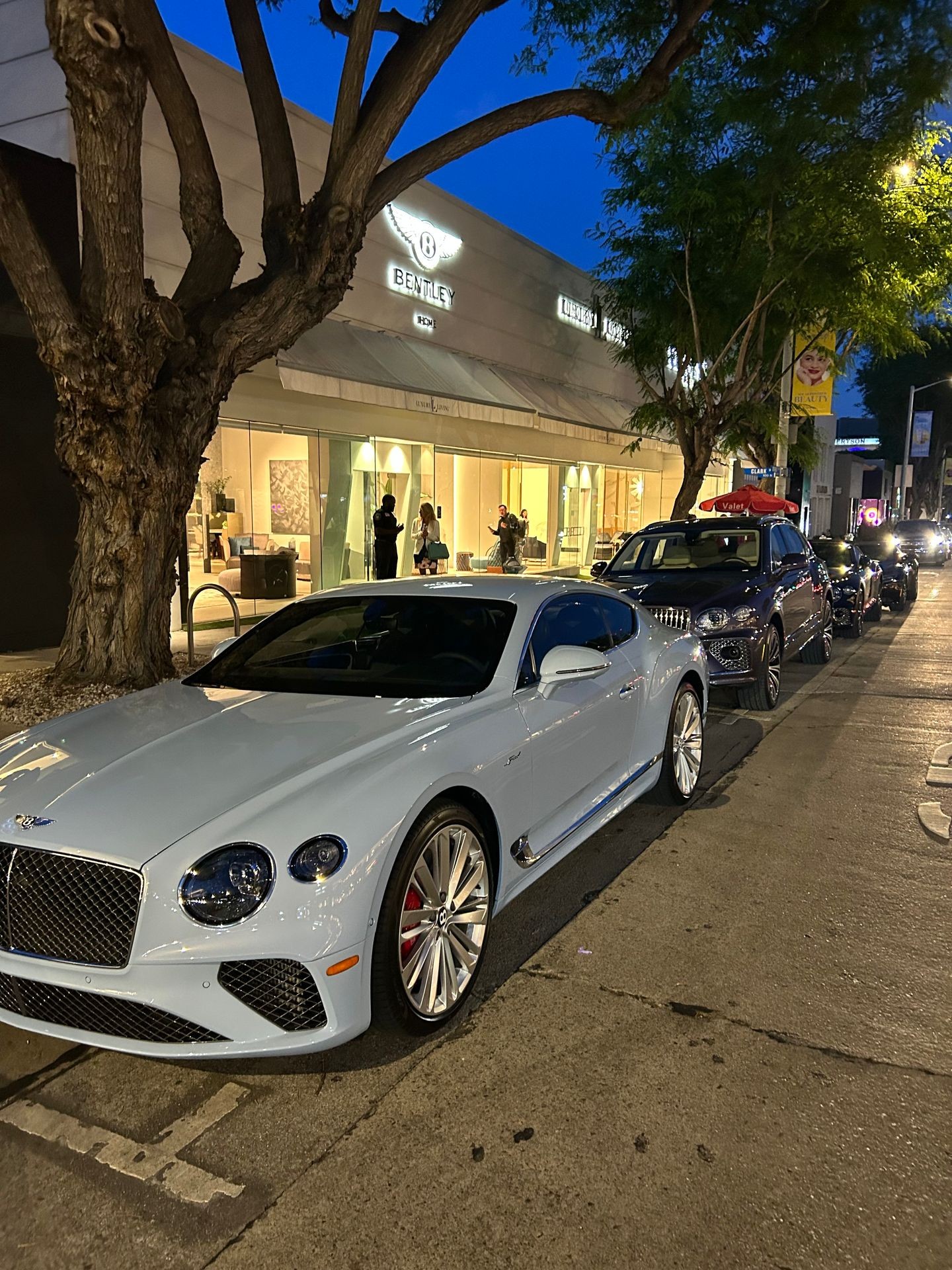 Luxury Valet Services | Top Tier Parking & Guest Services